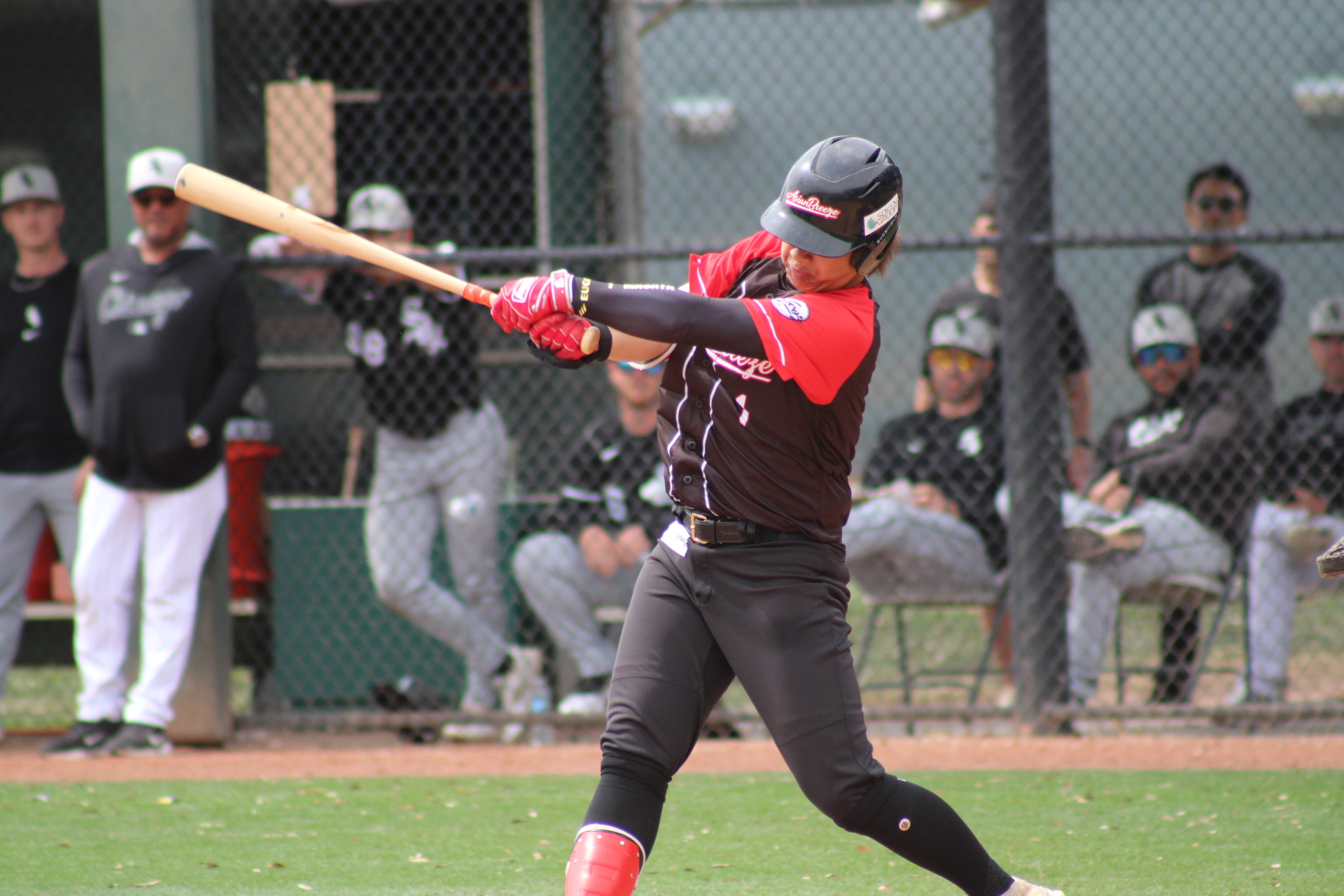 2025年カリビアンシリーズ出場 Japan Breeze 参加選手のお知らせ | アジアンブリーズ